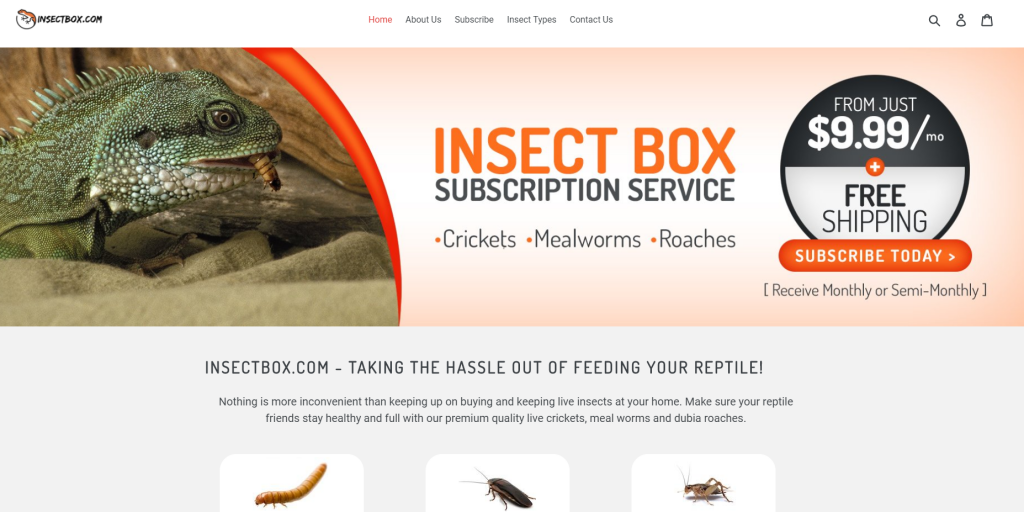 InsectBox – Haley Wang